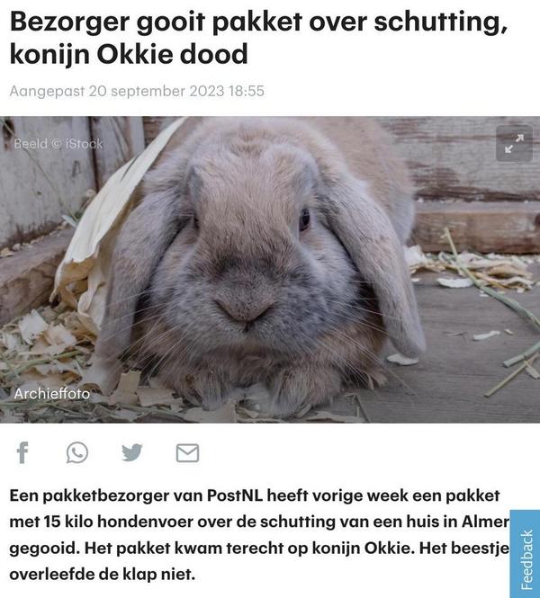 20 mensen die beter ff rustig aan kunnen doen | Kakhiel