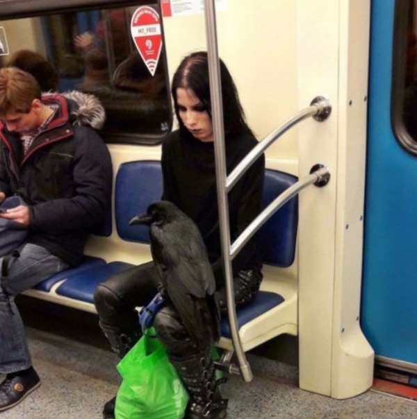 15 vet rare mensen in het openbaar vervoer (deel 2) | Kakhiel